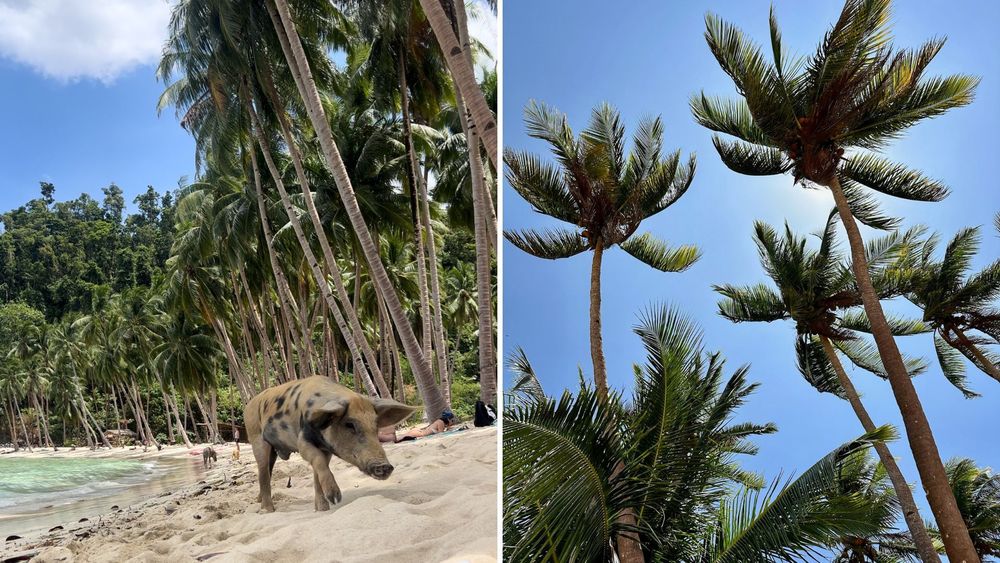 Stippl: The All In One Adventure Planner