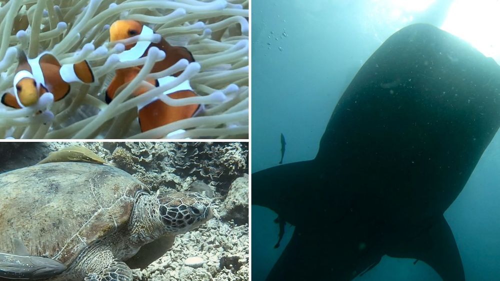 Stippl: The All In One Adventure Planner