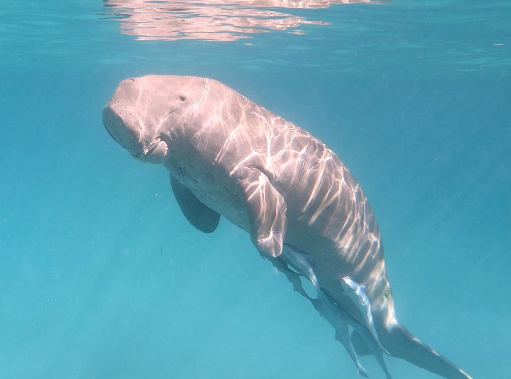 Stippl: The All In One Adventure Planner